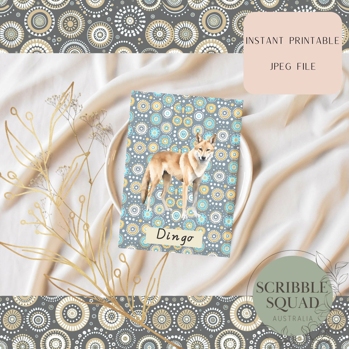 Native Animal Flashcards | Koala | Australian Prints | Indigenous ...