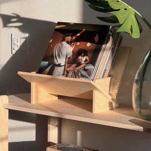 Versatile Vinyl Record Holder: Display Shelf, Storage Rack & Magazine ...