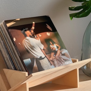 Book Display Shelf, Magazine Rack, Vinyl Record Holder, Vinyl Record ...