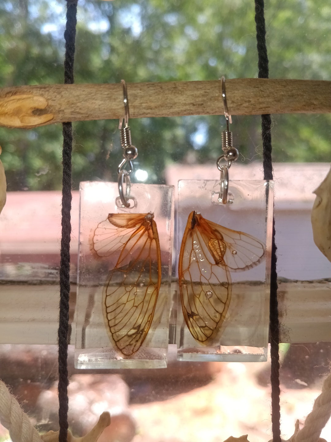 Cicada Wings Sealed in Resin - Etsy