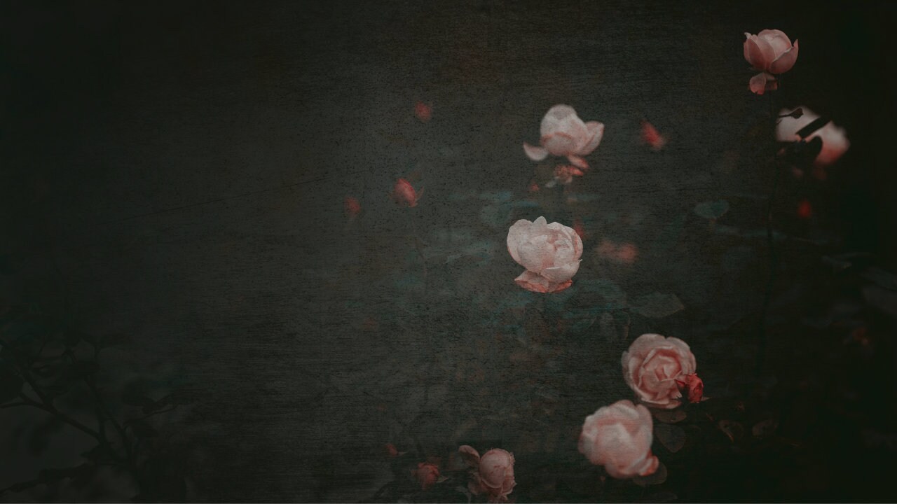 Dark Academia Virtual Background - Etsy
