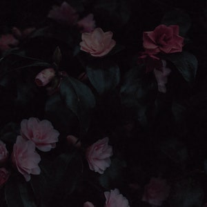 Gothic Garden Virtual Background - Etsy