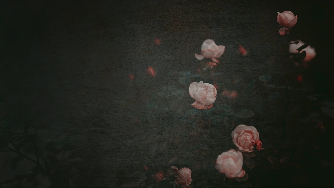 Dark Academia Virtual Background - Etsy