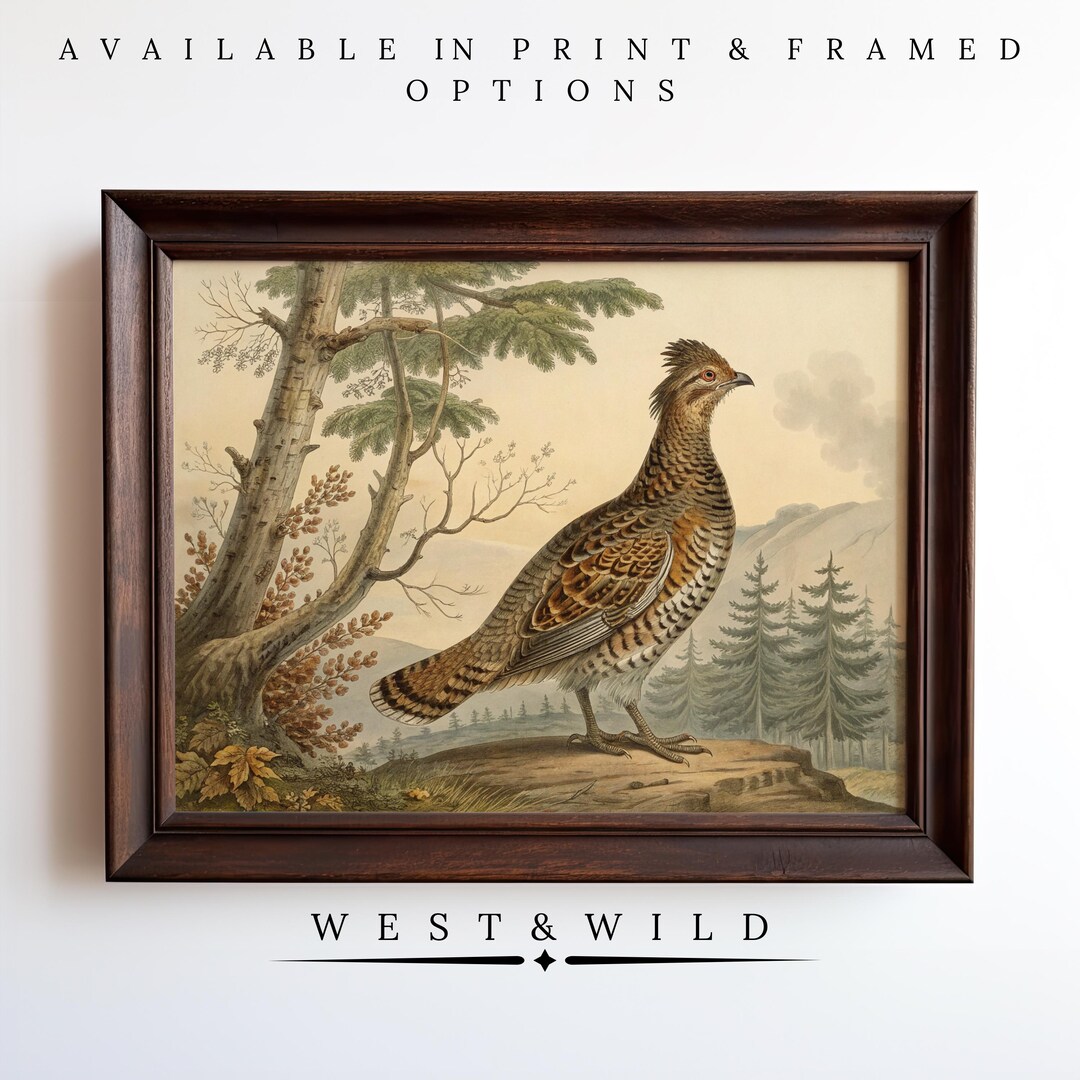 Grouse Bird Print Vintage Wall Art Poster Rich Framed Fowl Decor of ...