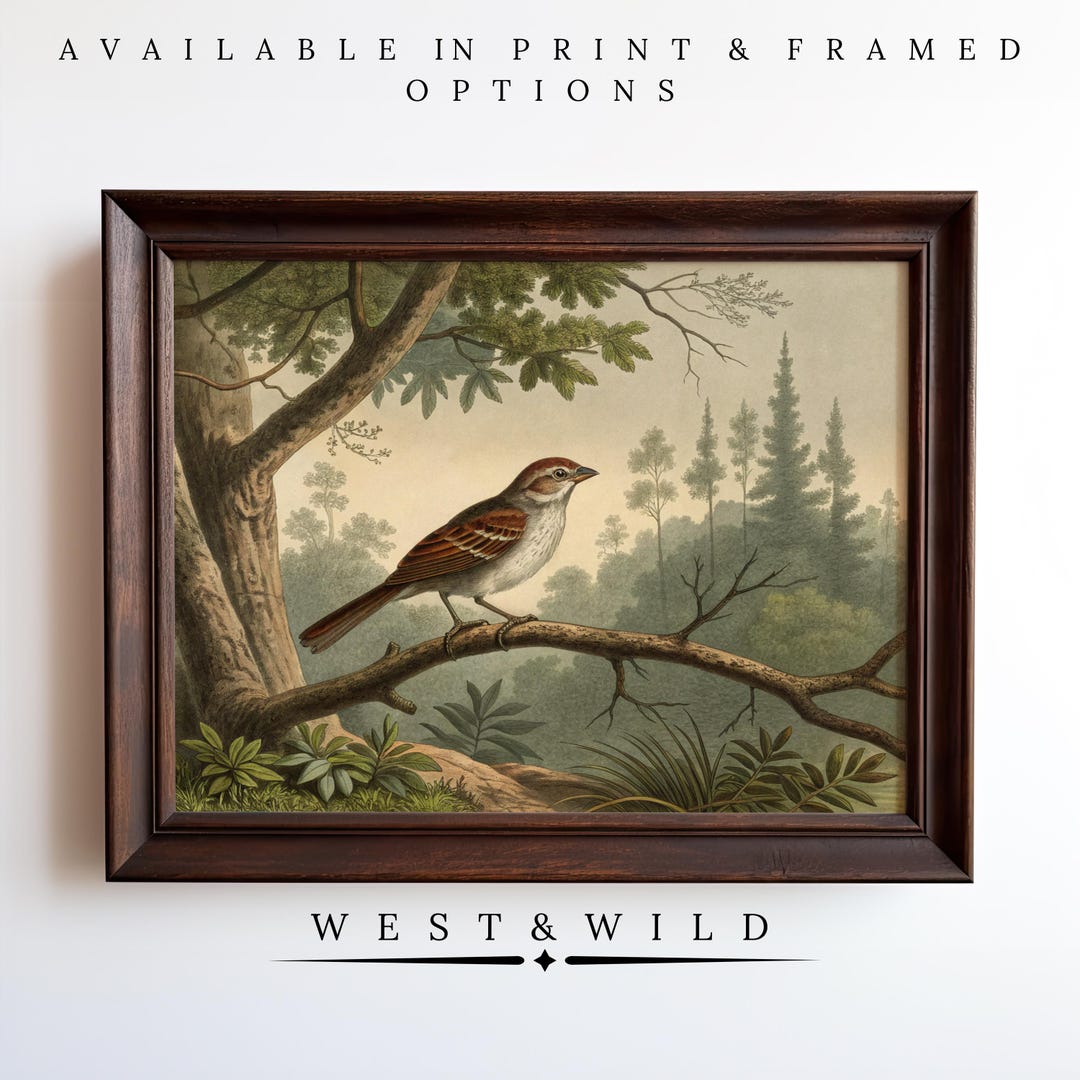 Sparrow Fowl Painting Vintage Wall Art Print Warm Framed Bird Artwork ...