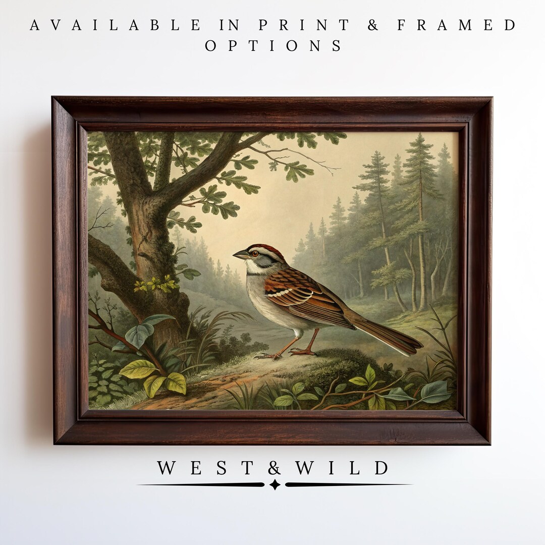Sparrow Bird Print Vintage Wall Art Painting Gentle Framed Bird Artwork ...