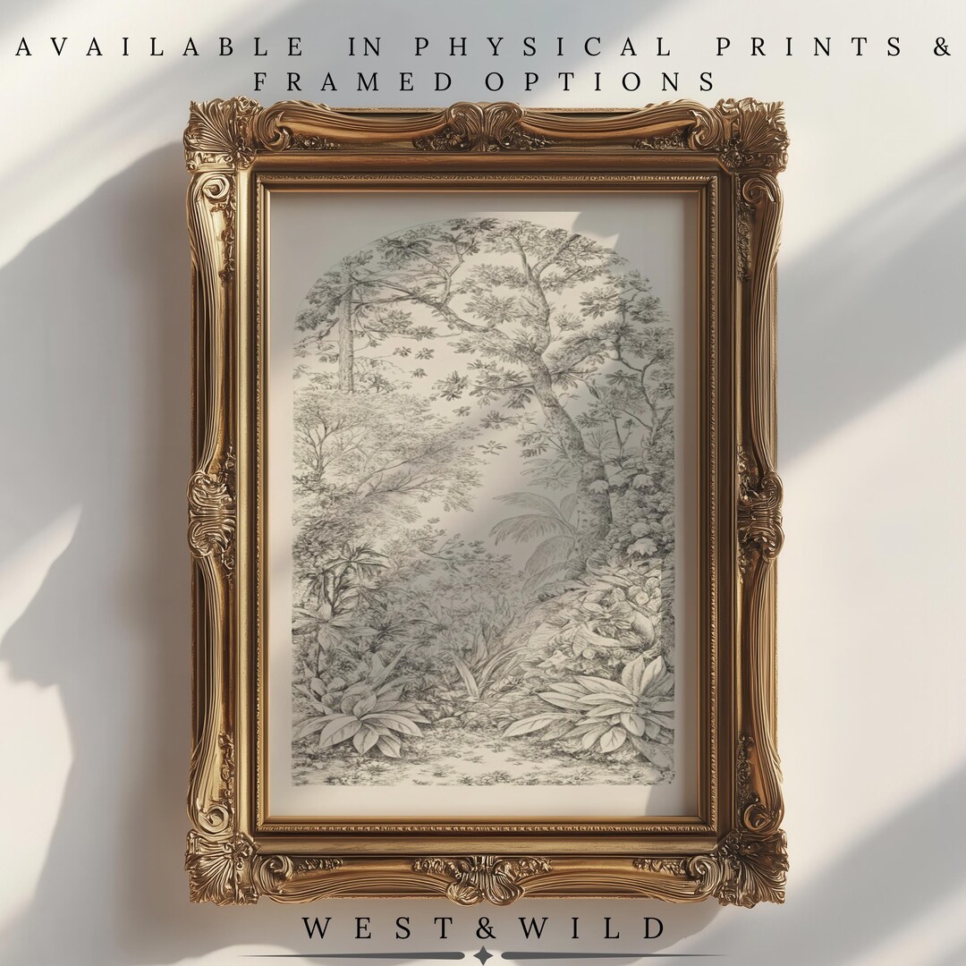 Rainforest Archway Illustration Print - Tropical Canopy Drawing ...