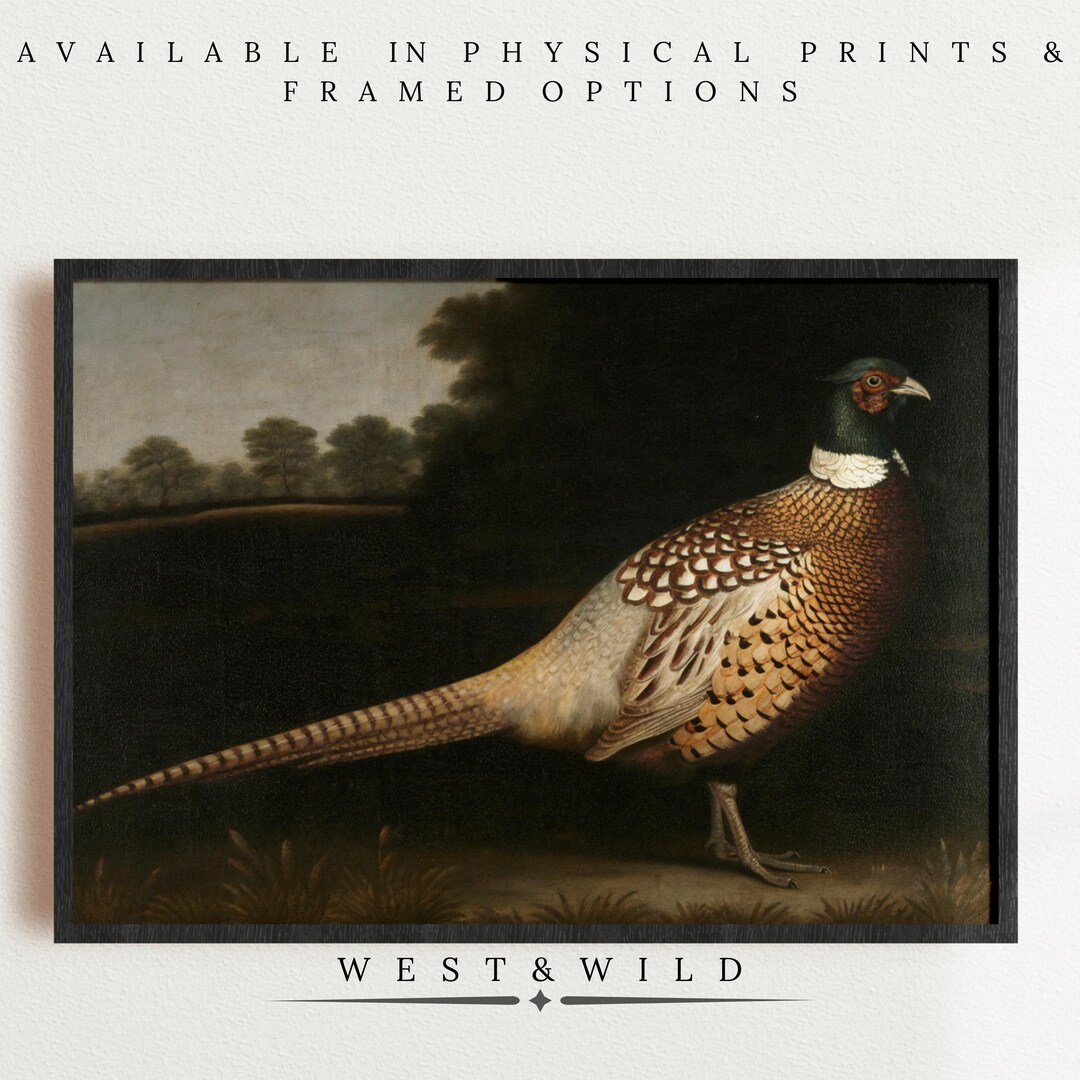 Painting of Pheasant for Country Home - Elegant Game Bird Art Print ...