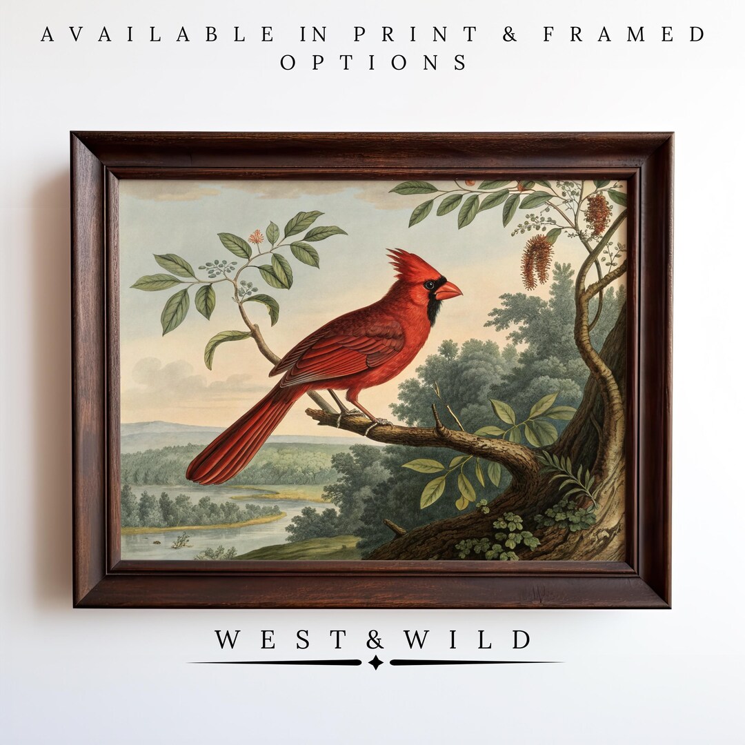 Cardinal Bird Print Vintage Wall Art Painting Dark Framed Fowl Artwork ...
