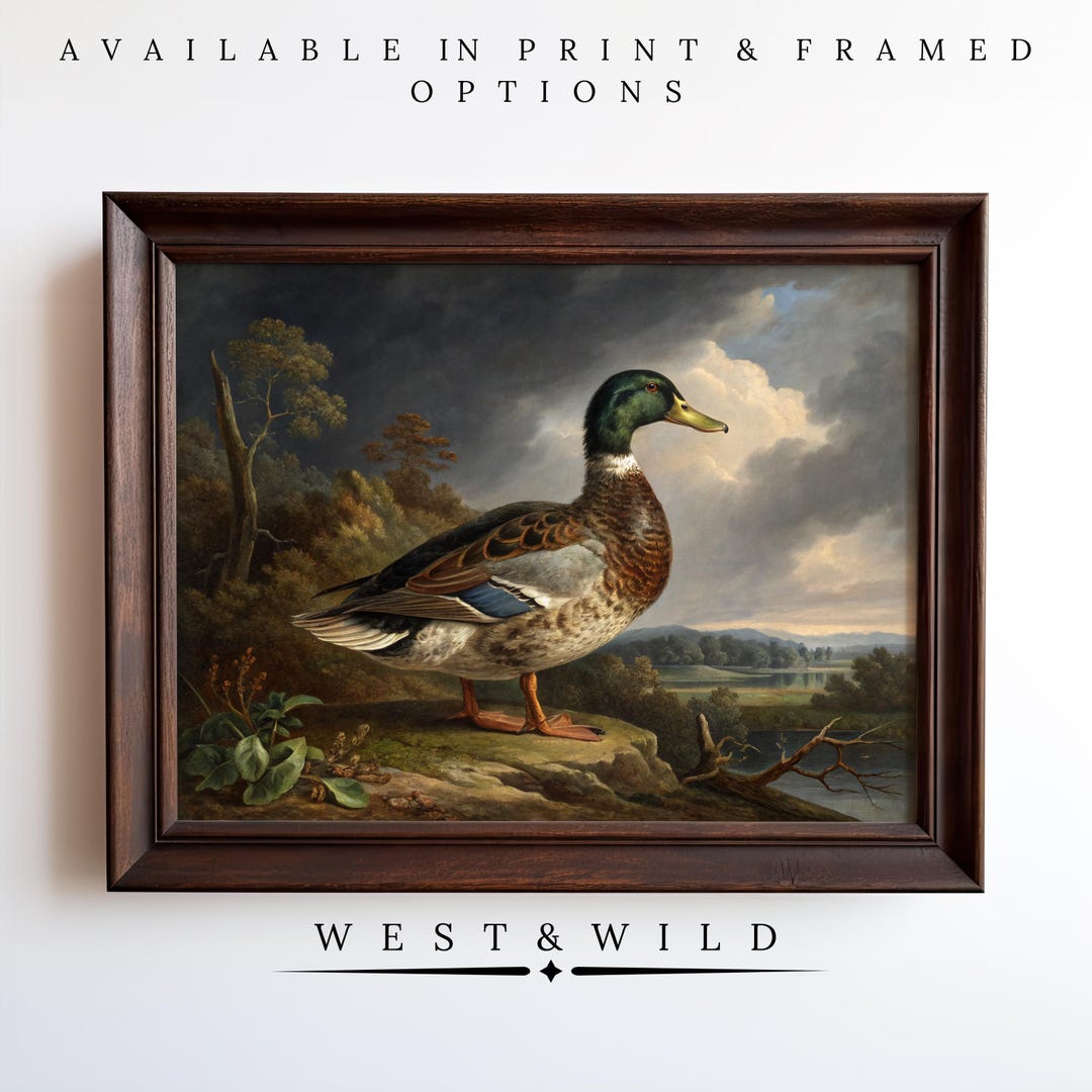 Duck Mallard Print Vintage Wall Art Painting Serene Framed Waterfowl ...