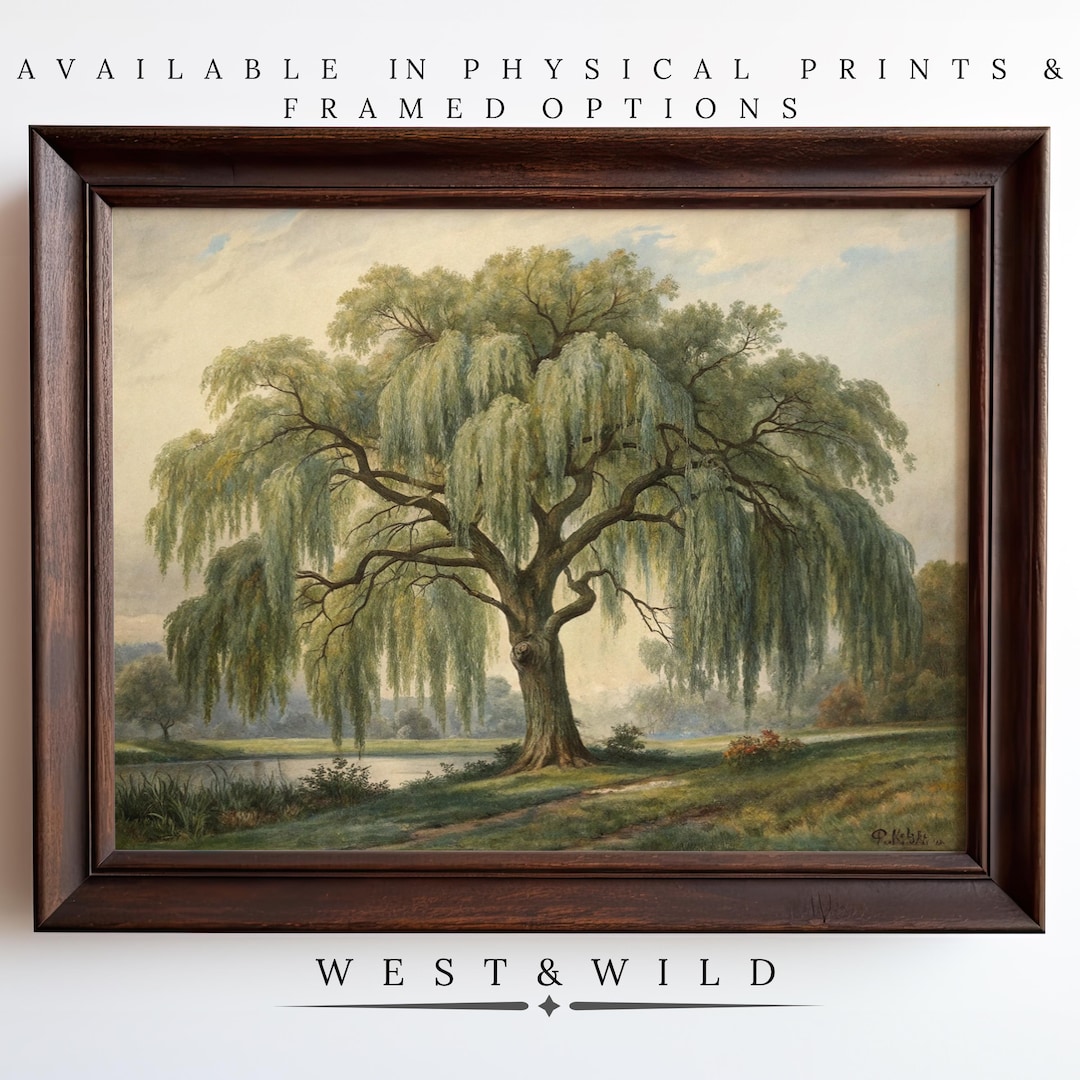 Weeping Willow Tree Paintings, Willow Tree Wall Art Prints, Vintage Style Landscape Artwork With ...