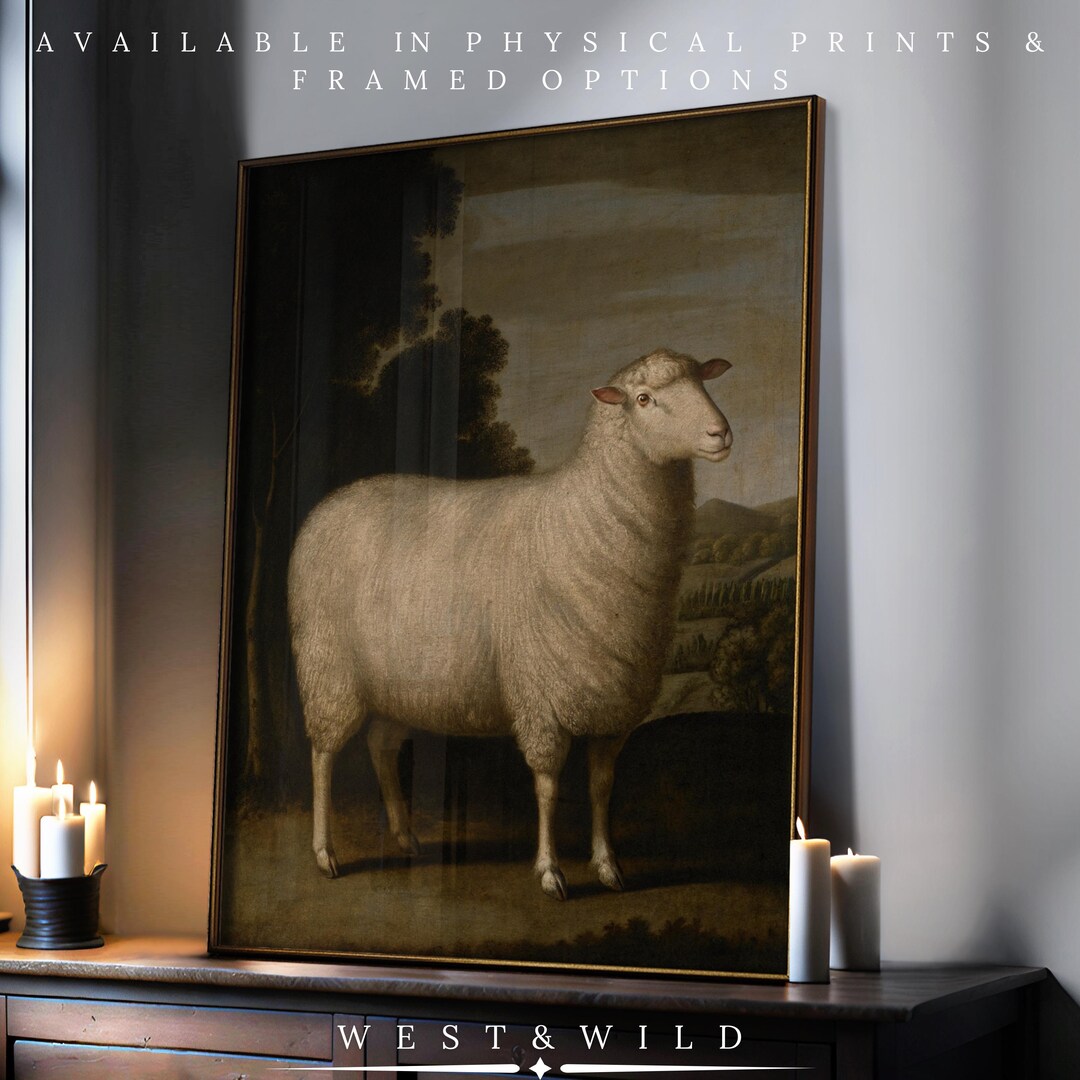 Framed Sheep Portrait Print | Classical 18th Century Painting of Sheep ...