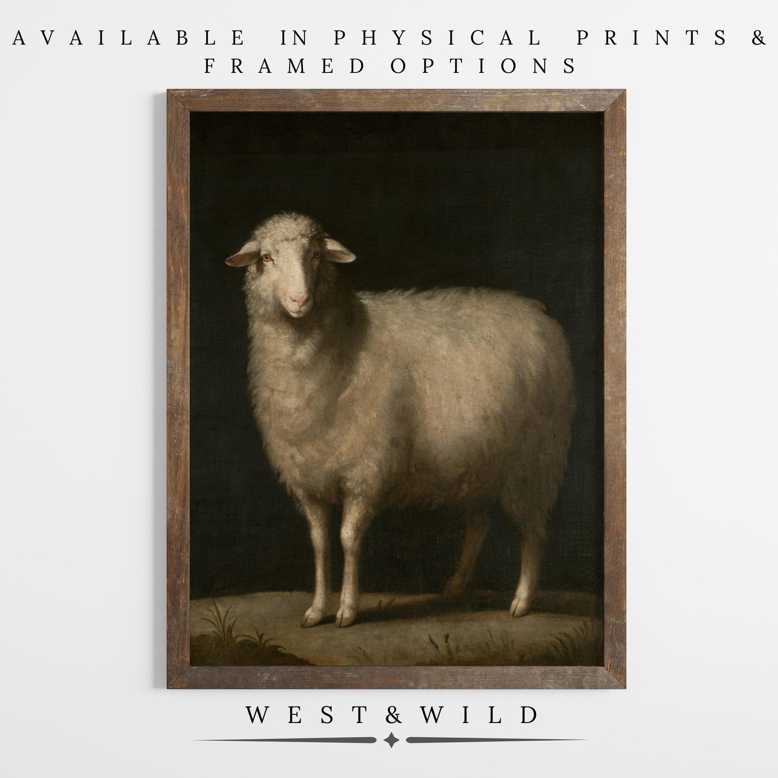 Vintage Sheep Portrait Art Print, Classic Farm Animal Decor, 18th ...