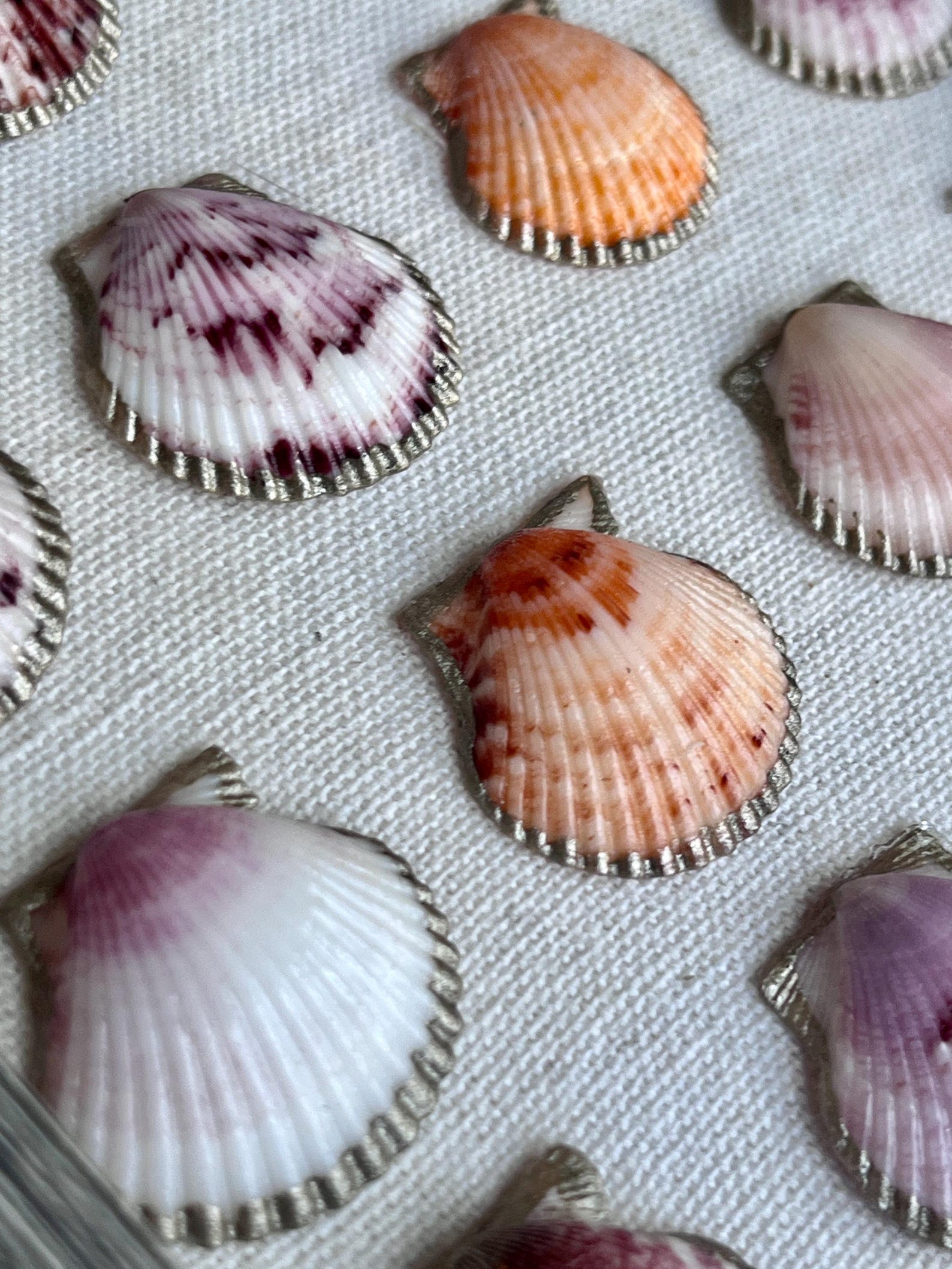 The Orla - Gold Outlined Calico Scallop Shell Shadow Box | 5x7 Coastal ...