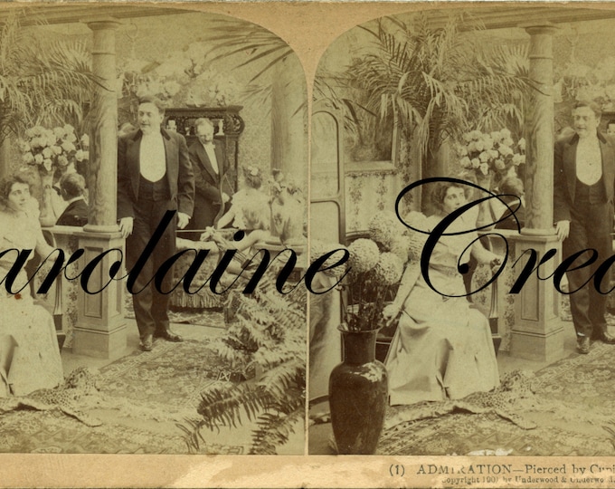 Printable Antique Stereoscope Viewer Cards - Etsy