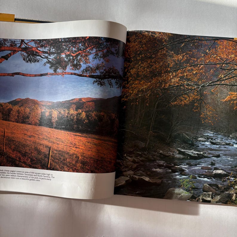 Vintage 1993 Americas National Parks Coffee Table Book by Christoher C ...