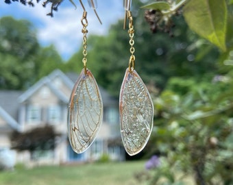 Cicada Wing Earrings, Cicada, Real Insects, Lightweight, Translucent ...