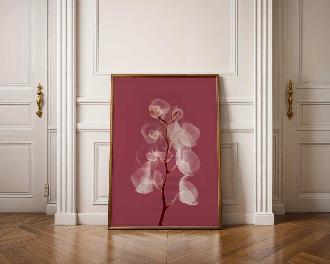 X Ray Orchid Flower Wall Art Botanical Radiograph Pink Orchid Print ...