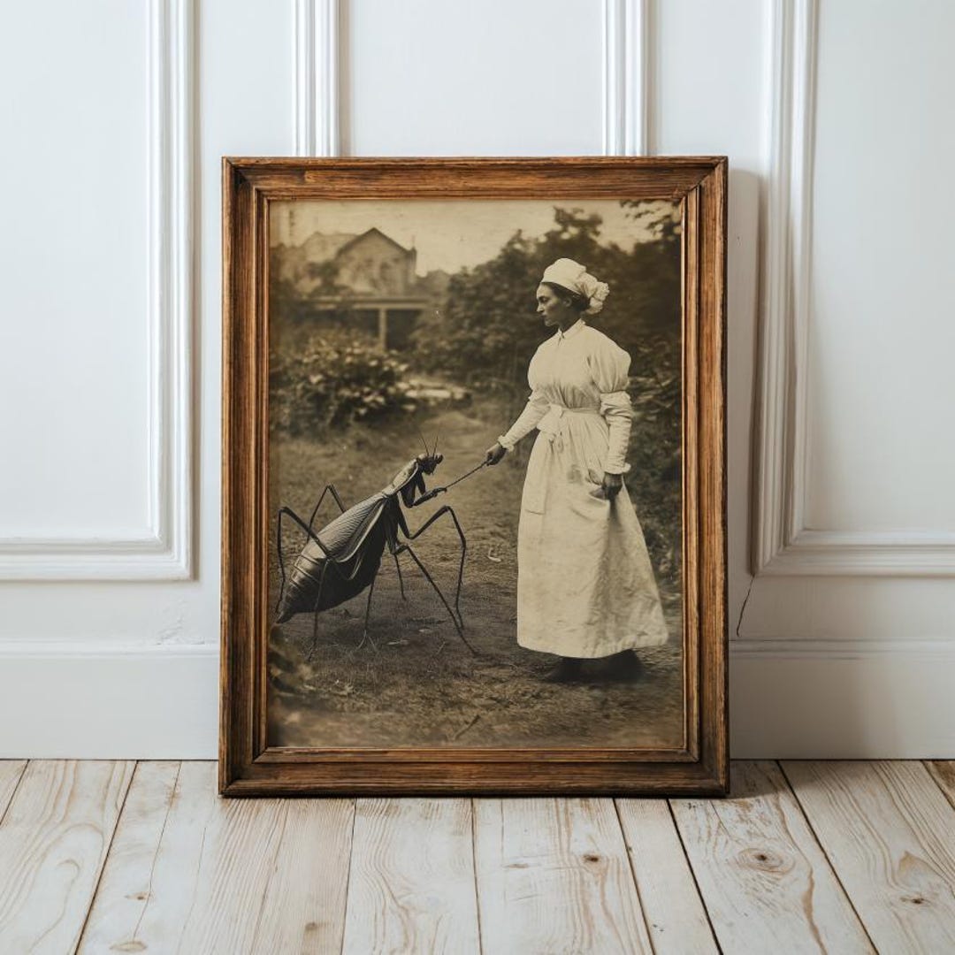 Giant Insect and Victorian Lady Fantasy Print, Odd Victorian Fantasy ...