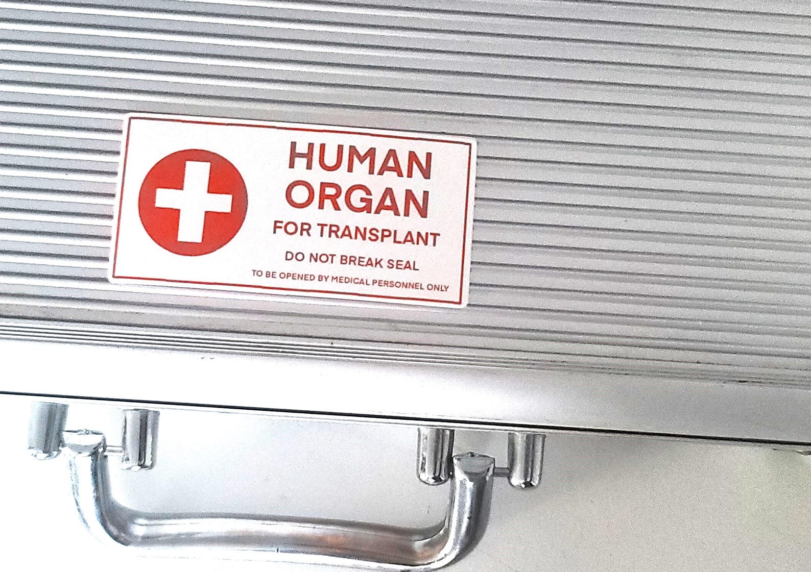 Human Organ Transplant Prank Stickers (set of 2) - Etsy