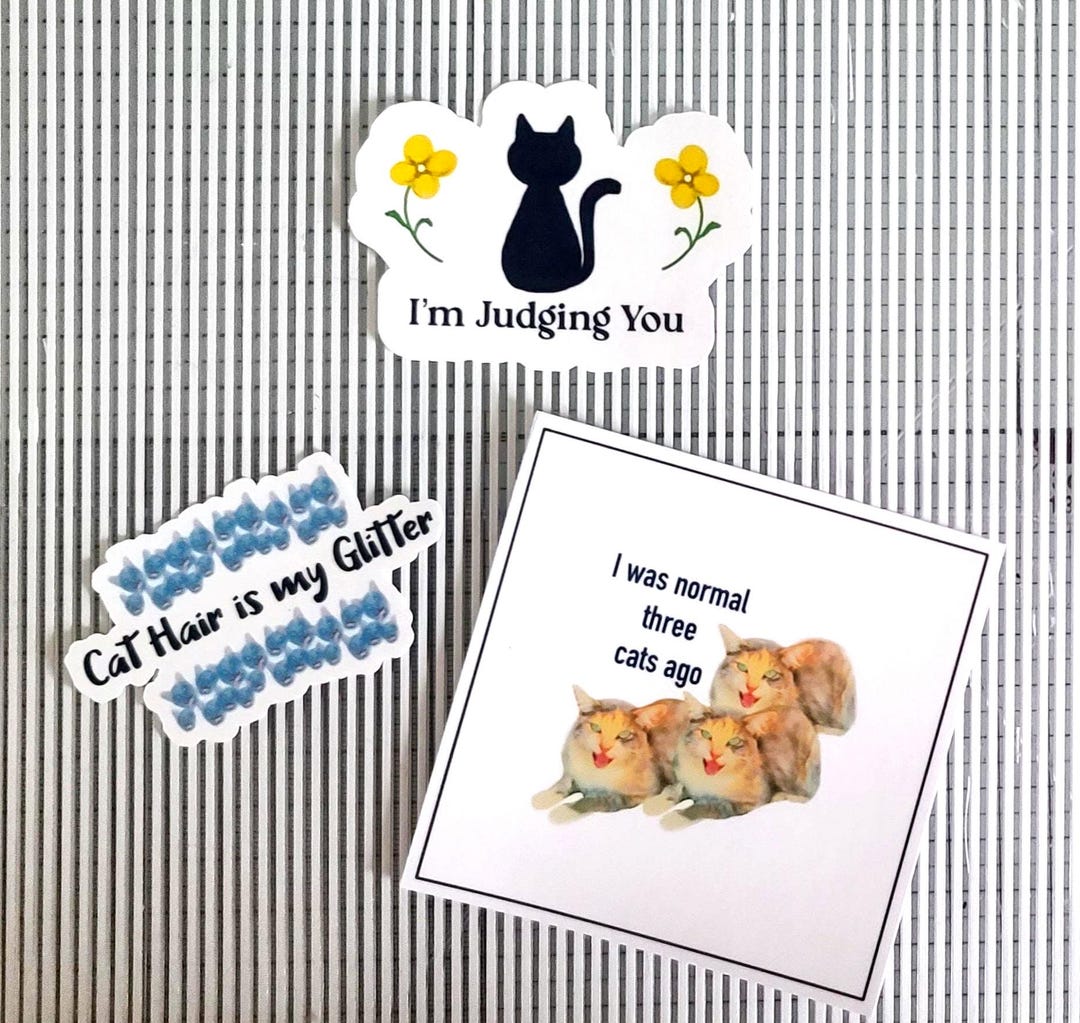 Funny Cat Stickers (3 Pcs) - Etsy