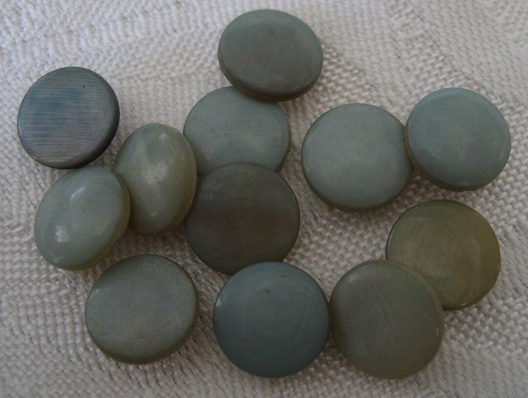 Vintage Horn Buttons: Set of 12 Dyed Blue-tan Sewing Supplies (3/8") - Etsy