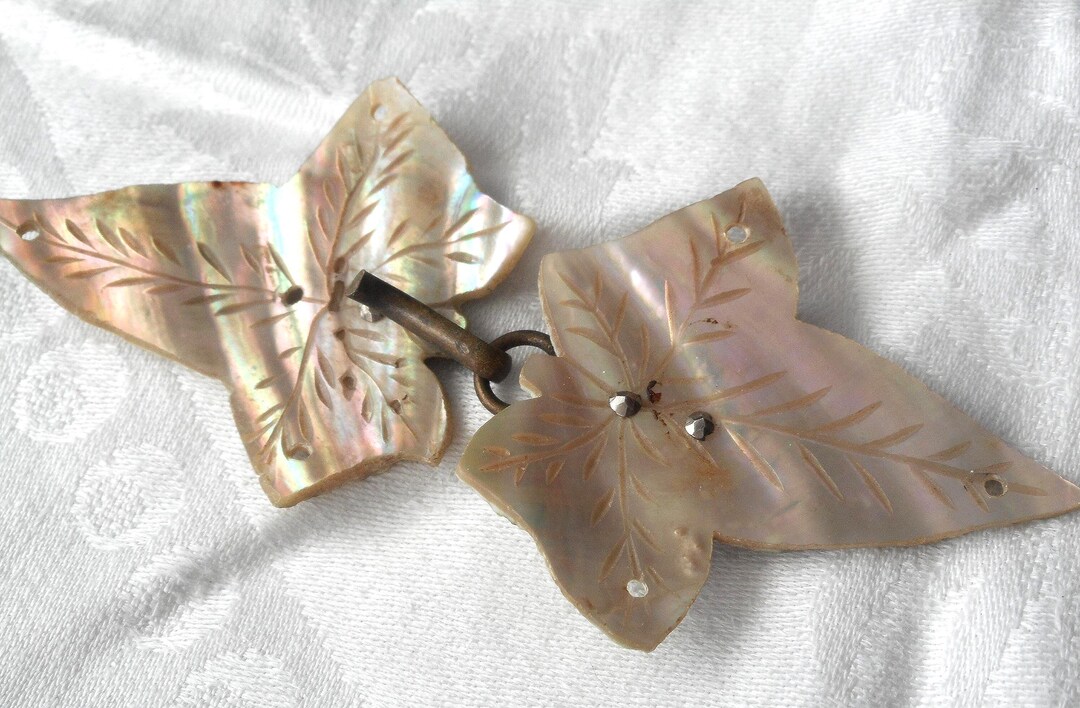 3 1/2" Vintage Carved Abalone Shell Belt Buckle: Iridescent Leaf Design ...