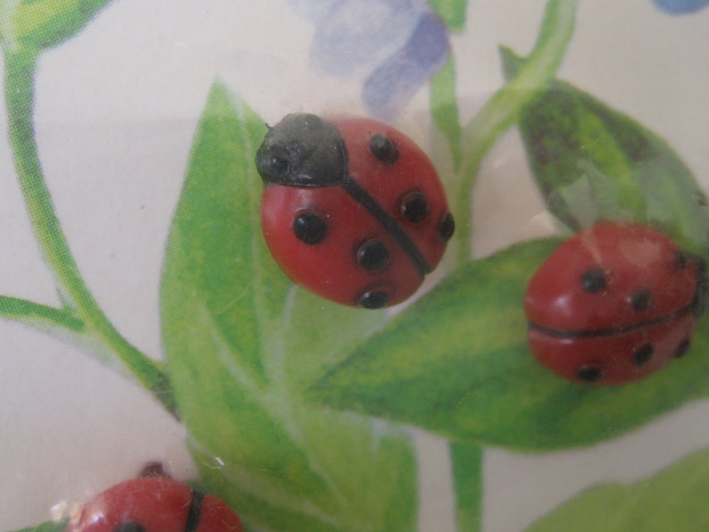 Set/ 6 VINTAGE 1/2 Realistic Red Ladybug Plastic Avon - Etsy
