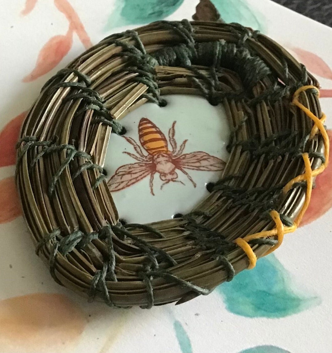 2 3/4” Realistic Leaf Shape Pine Needle Enamel Wasp Insect Bug Janet ...