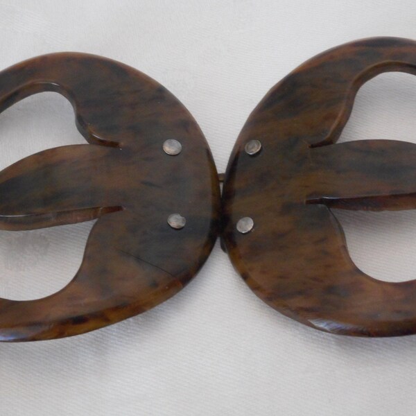 Clothing for Tortoises - Etsy