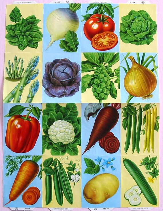 Pictures Of Vegetables To Print