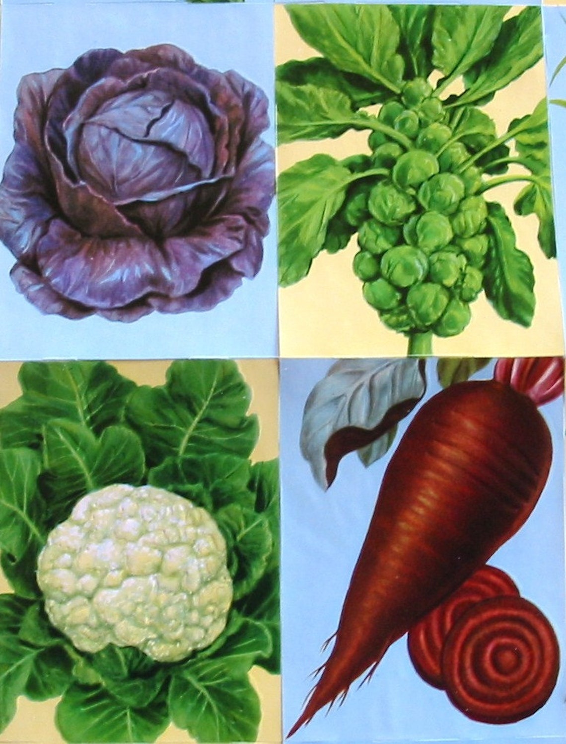 Double Sheet Vegetables Victorian Scrap Out of Print | Etsy