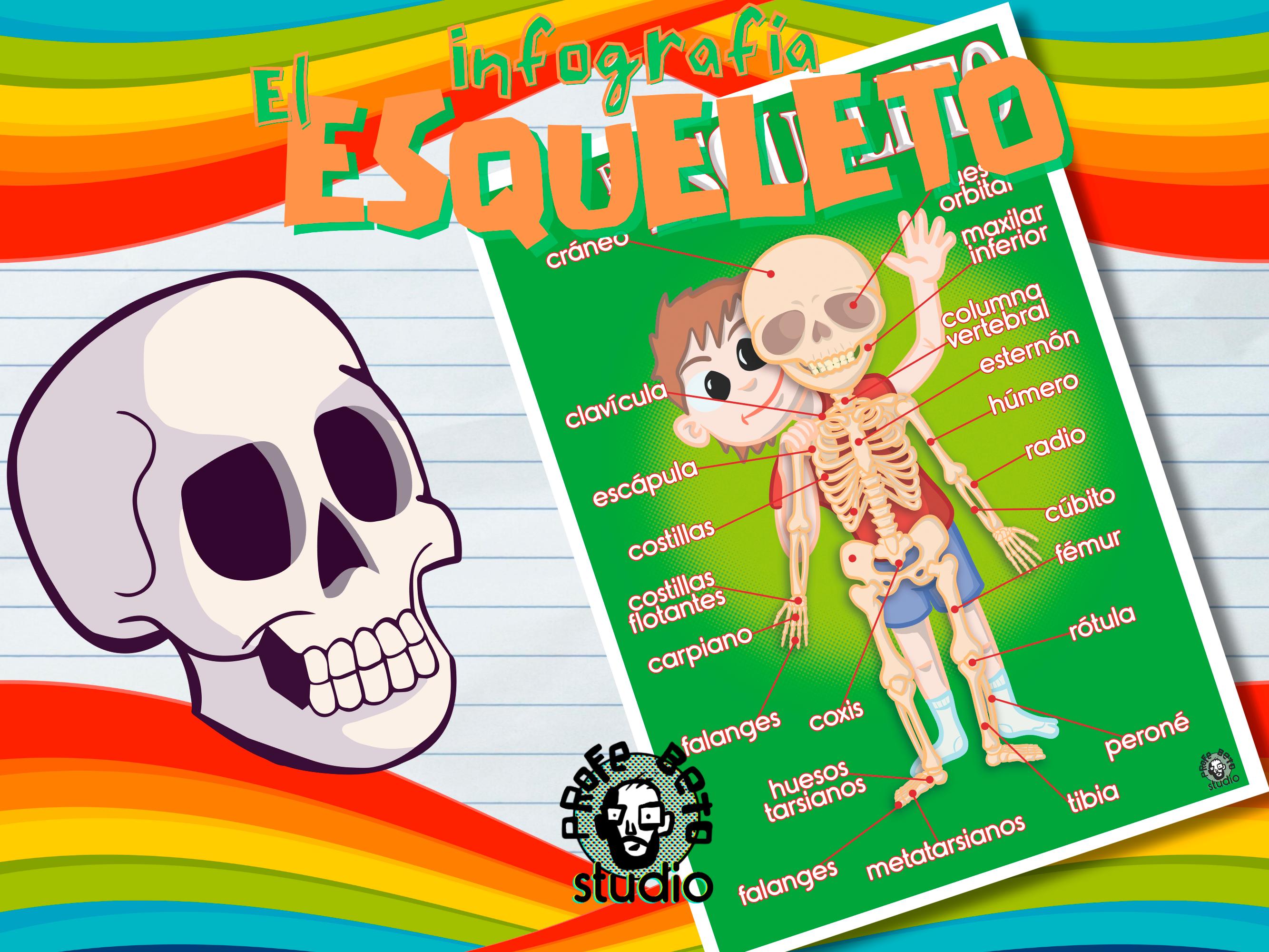 Human Skeleton Printable for Kids Educational Anatomy Art A3 and A4 ...