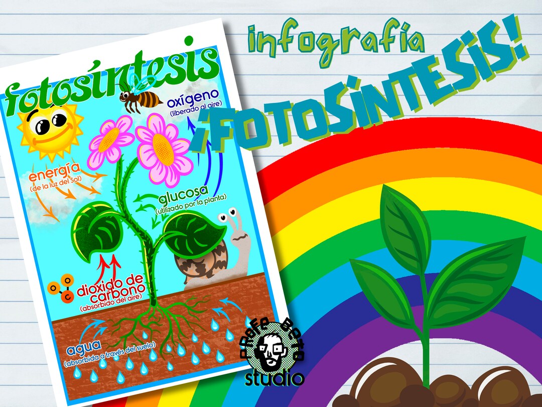 Fun Photosynthesis Infographic for Kids Downloadable, Environmental ...