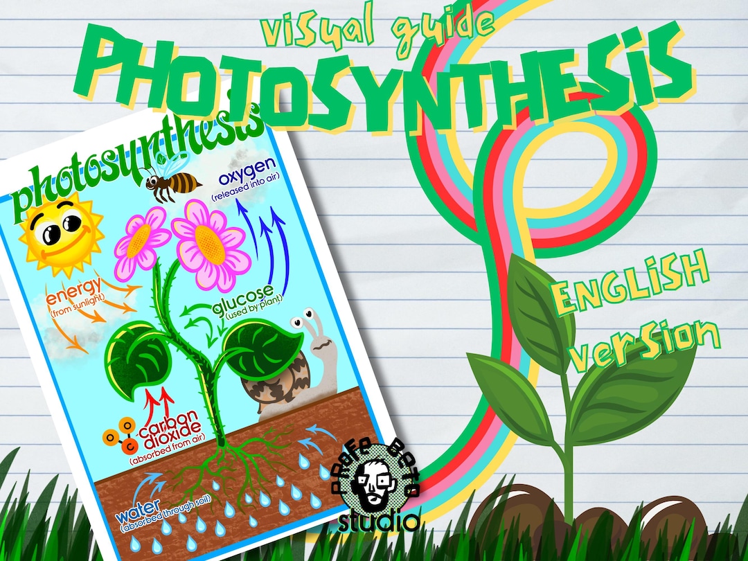 Photosynthesis Visual Guide for Kids | Digital Download Science ...