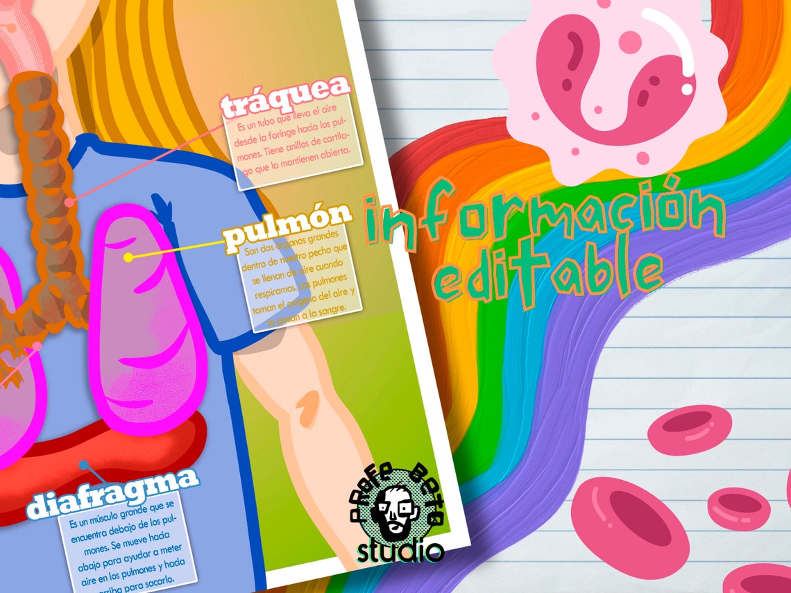 Human Respiratory System Kids Infographic Printable, Digital, JPG & PSD ...