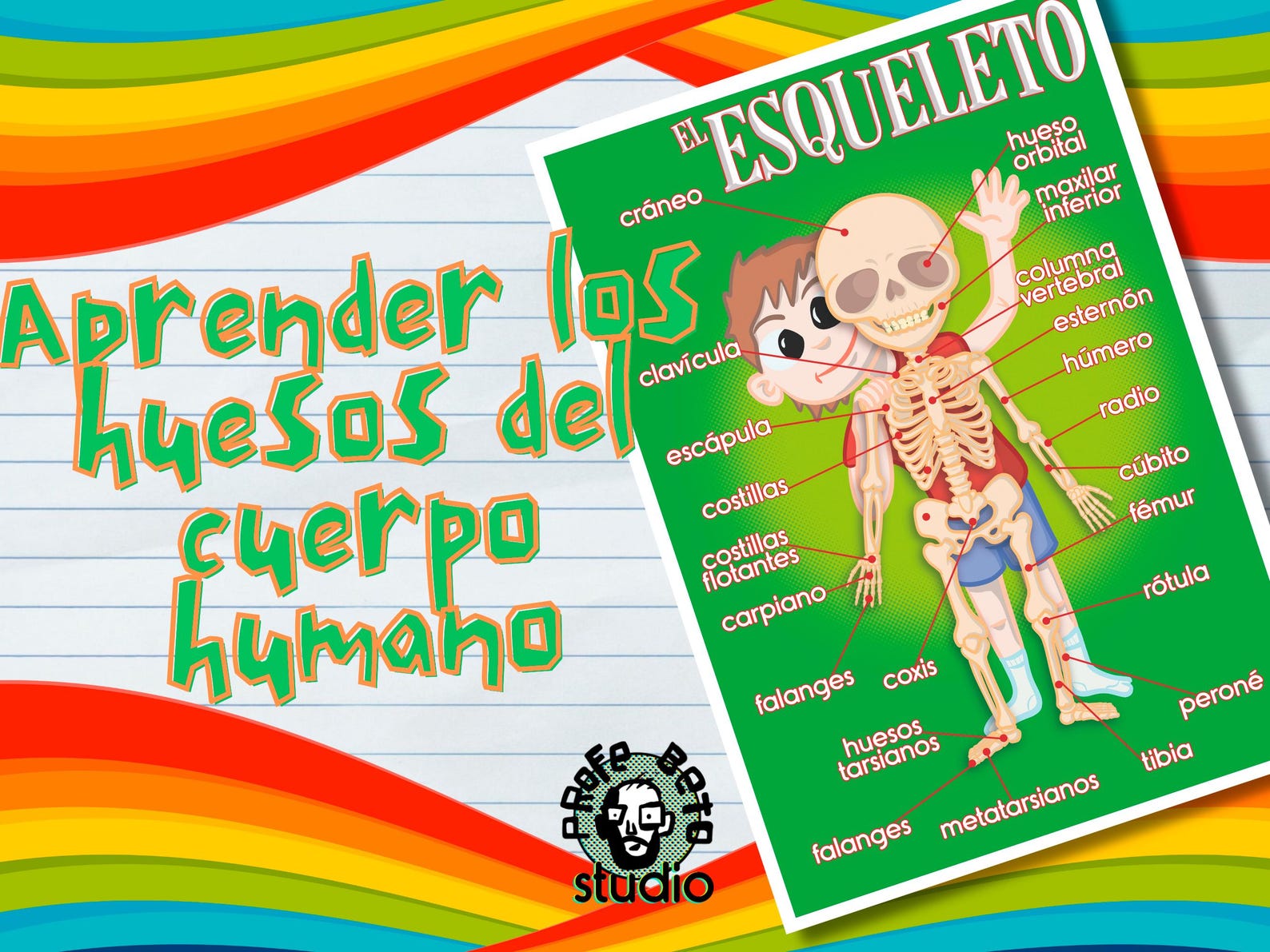 Human Skeleton Printable for Kids Educational Anatomy Art A3 and A4 ...