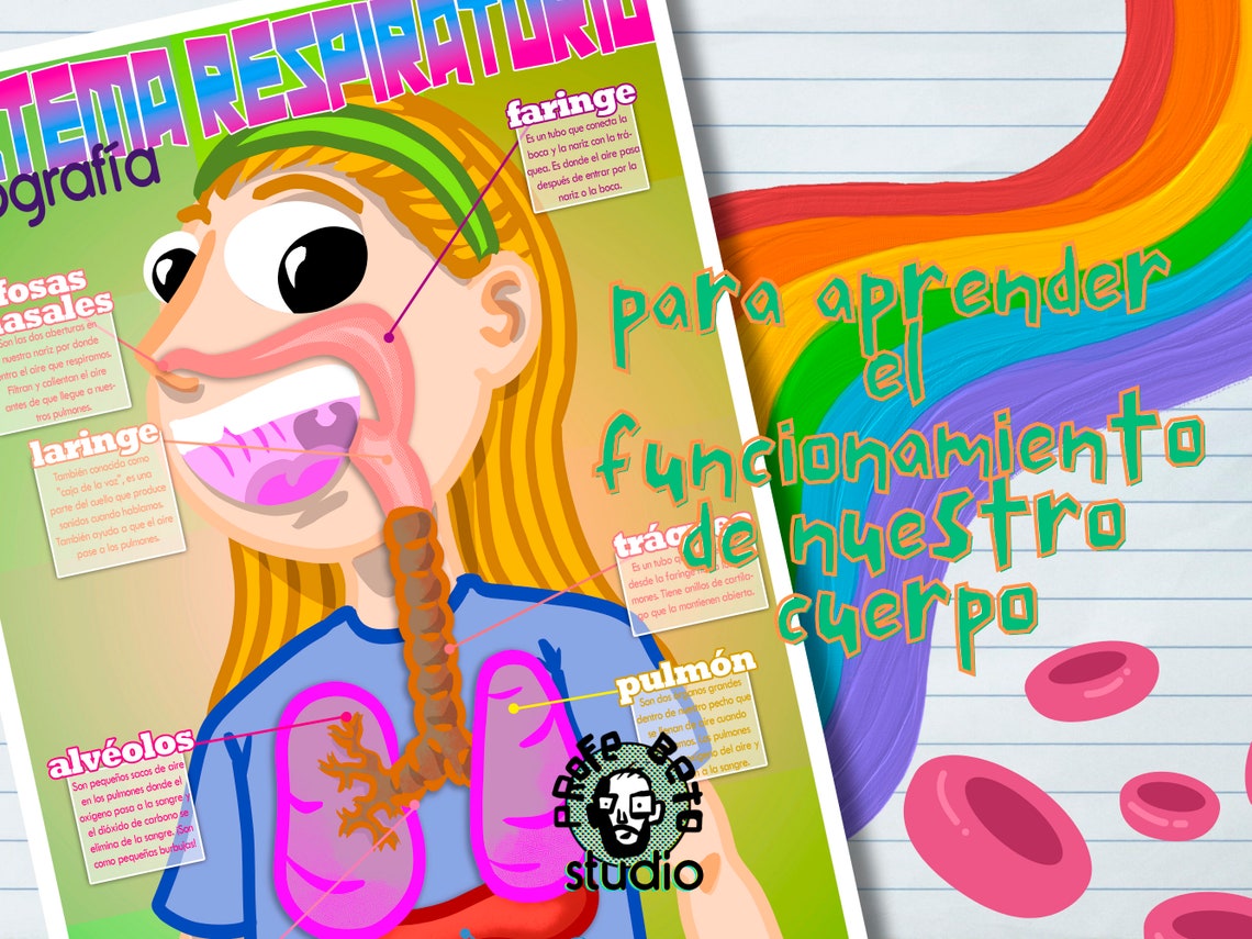 Human Respiratory System Kids Infographic Printable, Digital, JPG & PSD ...
