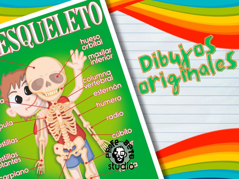 Human Skeleton Printable for Kids Educational Anatomy Art A3 and A4 ...