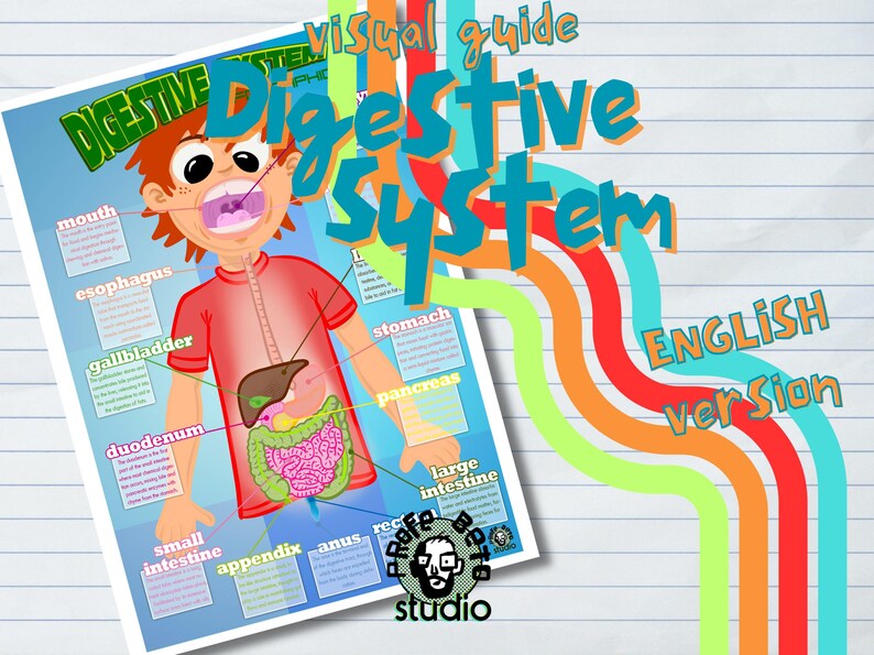 Printable Digestive System Visual Guide for Kids in English ...