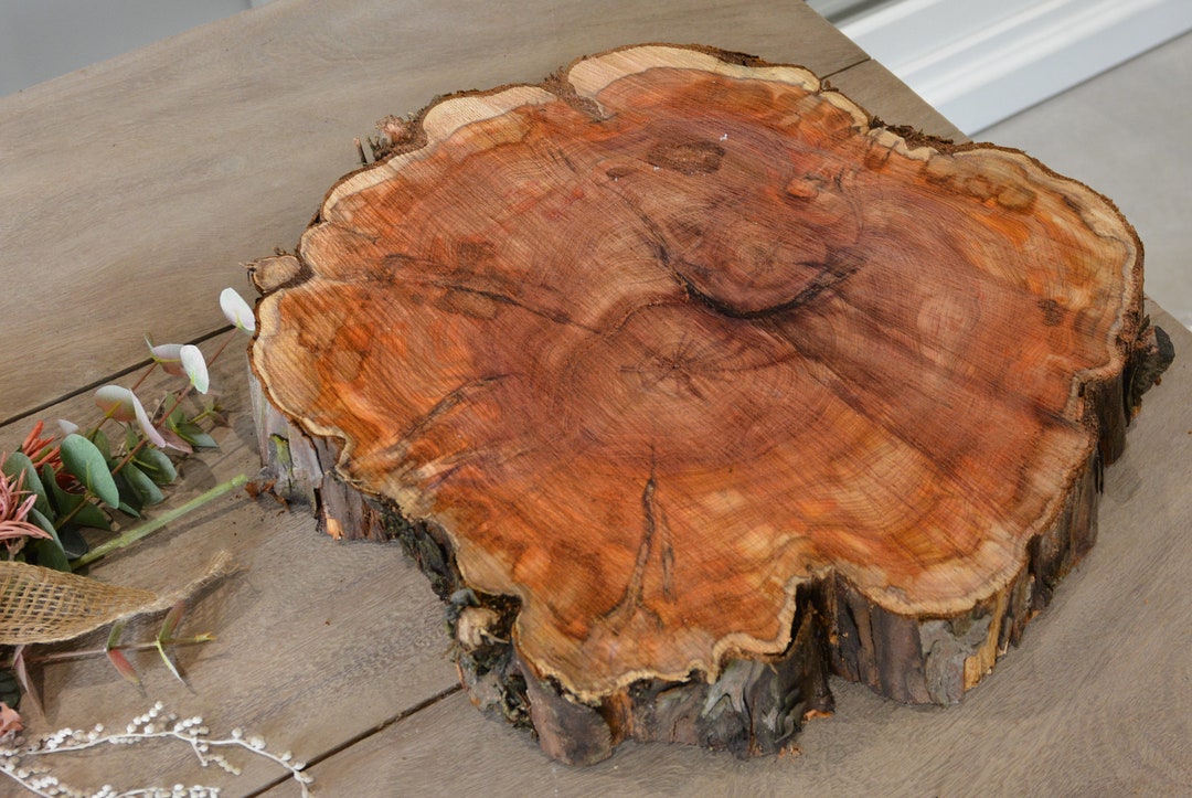 RARE Extra Large Yew Log Rustic Wedding Home Decorations Wedding ...