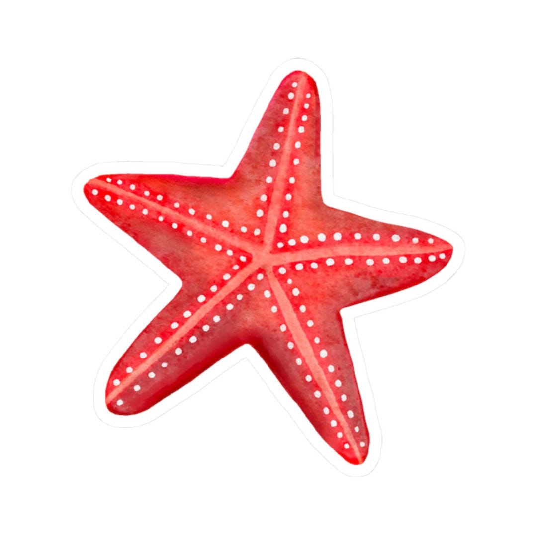 Starfish Sticker - Etsy