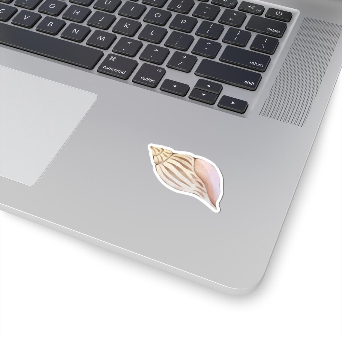 Conch Shell Sticker - Etsy