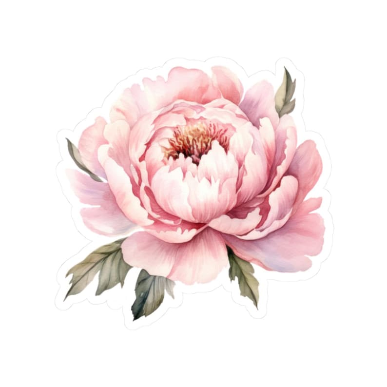 Peony Sticker - Etsy