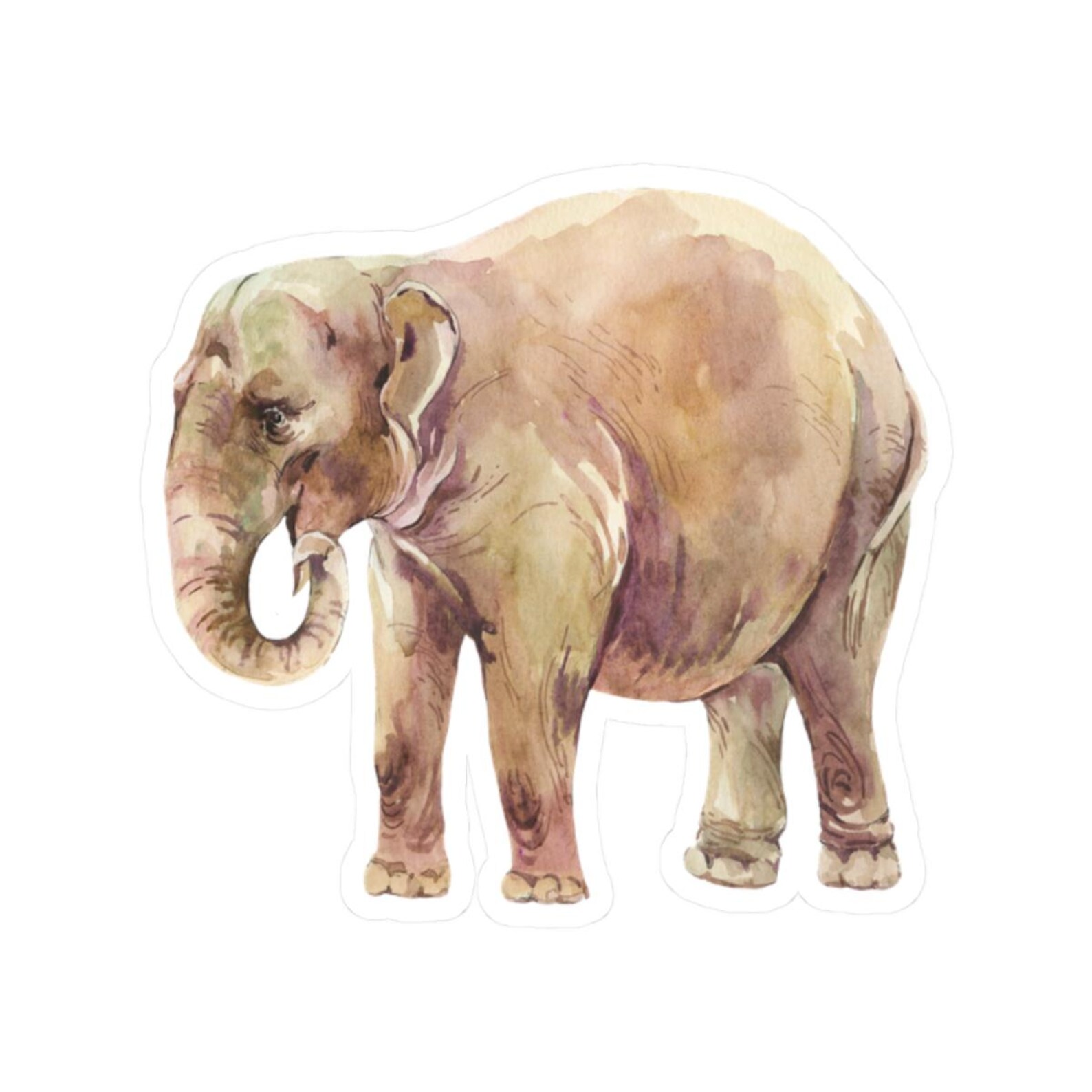 Elephant Sticker - Etsy