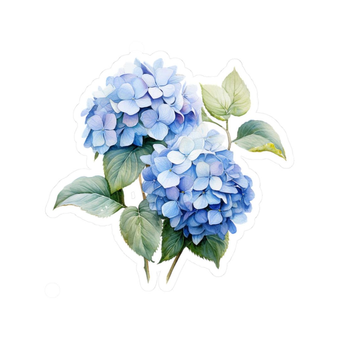 Hydrangea Sticker - Etsy