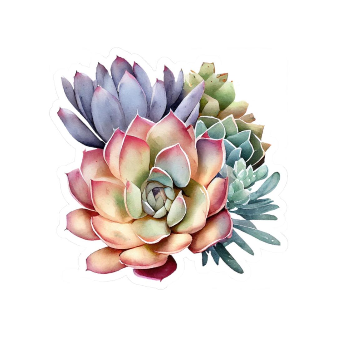 Succulent Sticker - Etsy