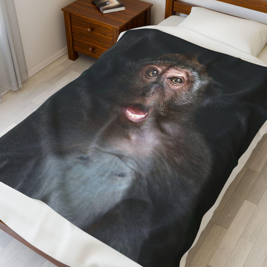Monkey Blanket, Cozy Velveteen Plush Blanket, Winter Blanket, Weird ...