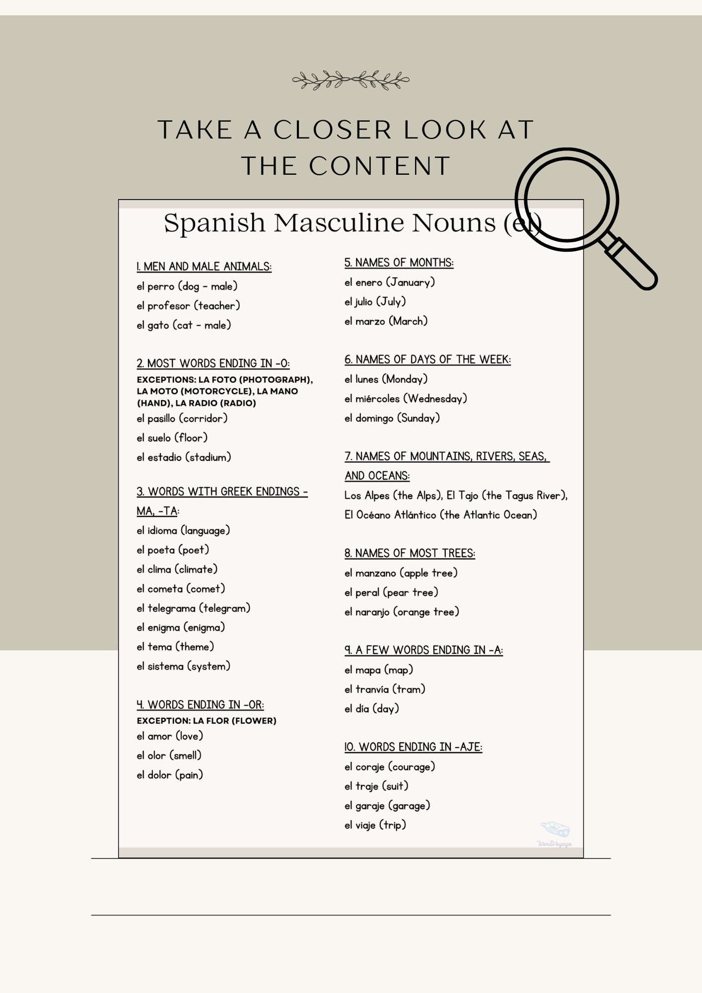 Learn the Genders of Nouns in Spanish With Fun & Easy-to-understand ...