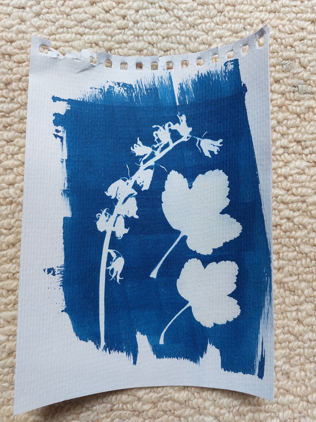 A5 Cyanotype Print - Etsy